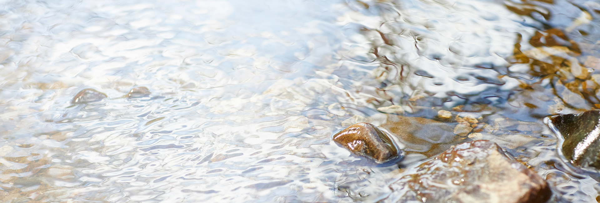 Yorkshire Water - Water company